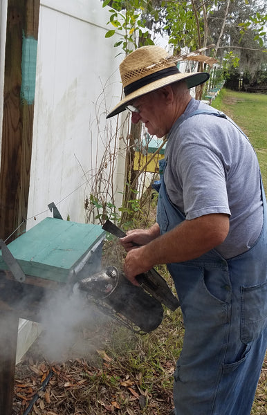 Queen Bee-Mite Mauler Italian – Always Summer Herbs